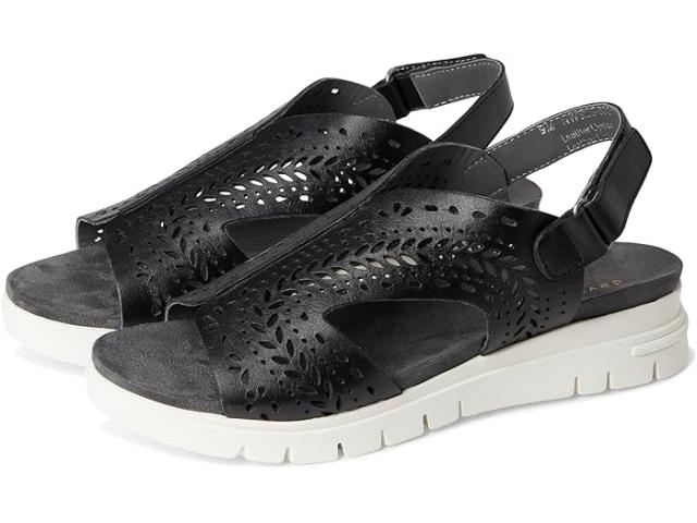 (取寄) デビッドテイト レディース モダ David Tate women Moda Black