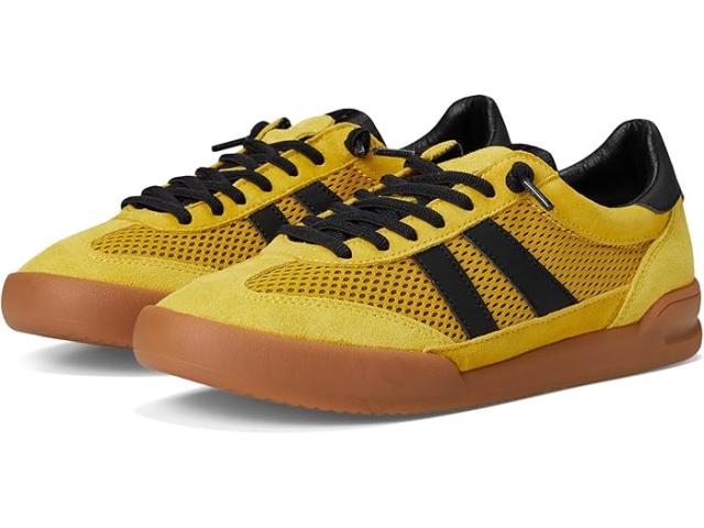 (取寄) スティーブマデン レディース ヴァーディクト Steve Madden women Verdict Black/Yellow