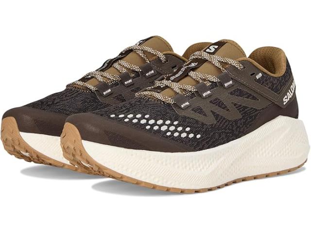 (取寄) サロモン メンズ エアロ グライド Salomon men Aero Glide Wren/Vanilla Ice/Coyote Brown