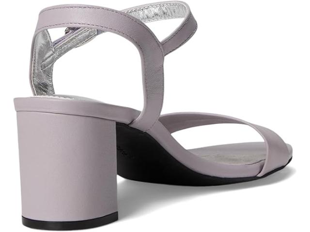 (取寄) デビッドテイト レディース エイジレス David Tate women Ageless Violet