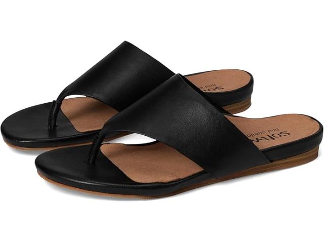 (取寄) ソフトウォーカー レディース チャンドラー SoftWalk women Chandler Black