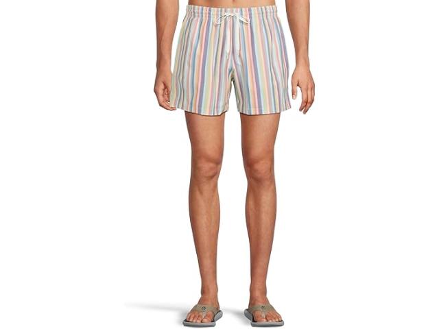 (取寄) チャビーズ メンズ ザ ストライプ 5.5 スイム Chubbies men The Parlor Stripes 5.5