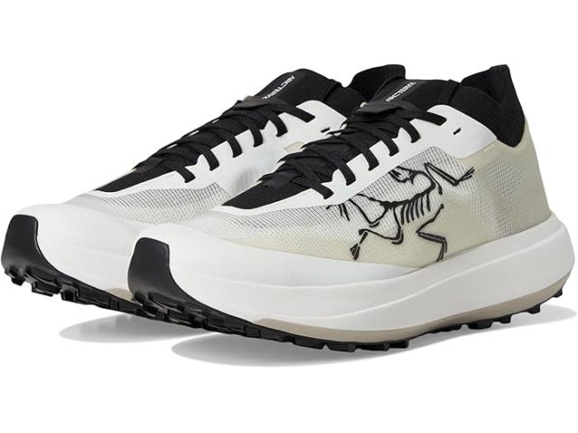 (取寄) アークテリクス メンズ サイラン プロ Arc'teryx men Sylan Pro Arctic Silk/Arctic Silk