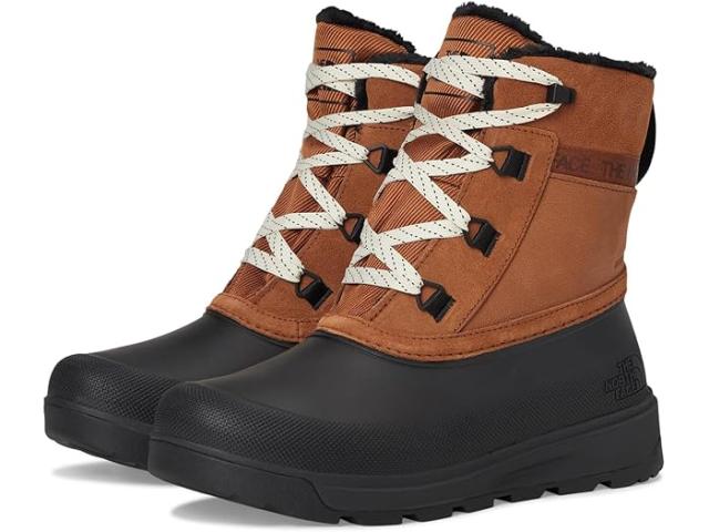 (取寄) ノースフェイス レディース シェリスタ V ショーティー Wp The North Face women Shellista V Shorty WP Burnt Umber/TNF Black