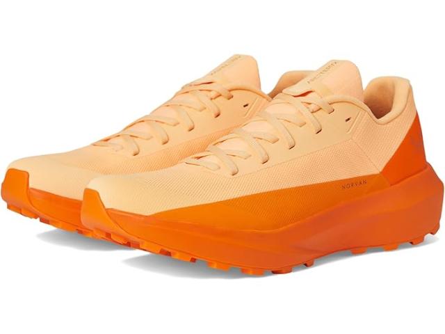 (取寄) アークテリクス レディース ノーバン LD 4 Arc'teryx women Norvan Ld 4 Luminary/Verve