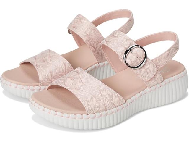 (取寄) スケッチャーズ レディース ウィルシャー ブルーバール - イリュージョン オブ ラブ SKECHERS women Wilshire Boulevard - Illusion Of Love Blush