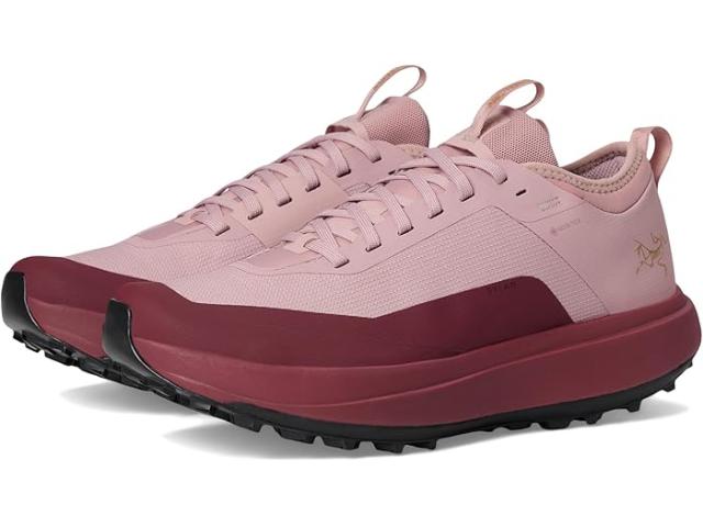 (取寄) アークテリクス レディース サイラン Gtx Arc'teryx women Sylan GTX Dark Bliss/Mars