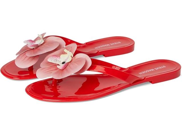 (取寄) スティーブマデン レディース ポピーシード Steve Madden women Poppyseed Red