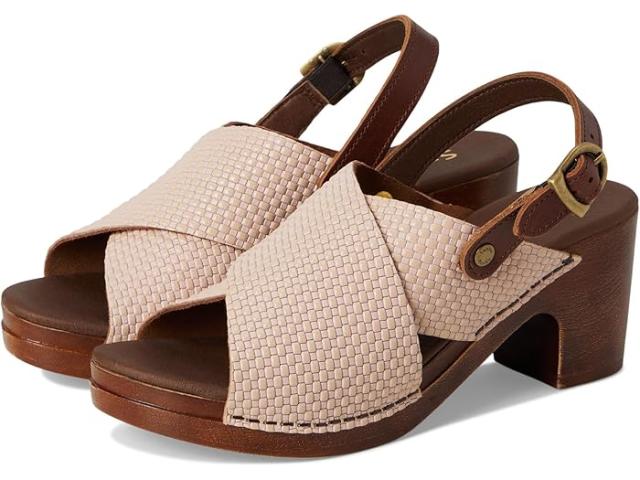 (取寄) サニタ レディース  Sanita women Sijo Powder