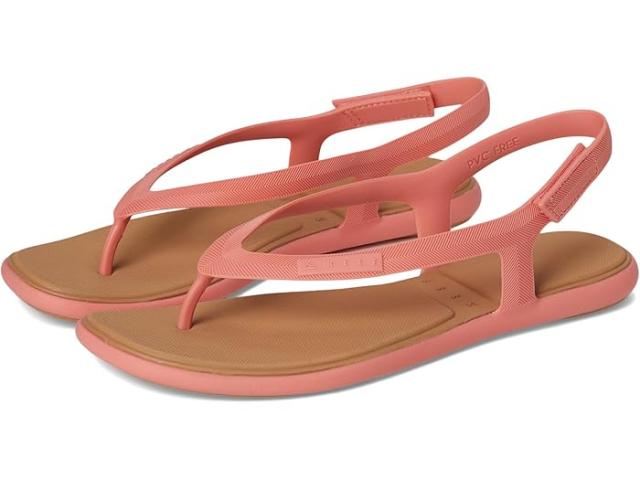 (取寄) リーフ レディース ウォーター ウィロー マヤ Reef women Water Willow Maya Burnt Coral