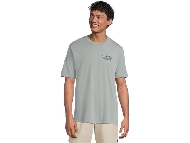 (取寄) ルーカ メンズ ヴァ ブラー フィル ショート スリーブ RVCA men Va Blur Fill Short Sleeve Lead