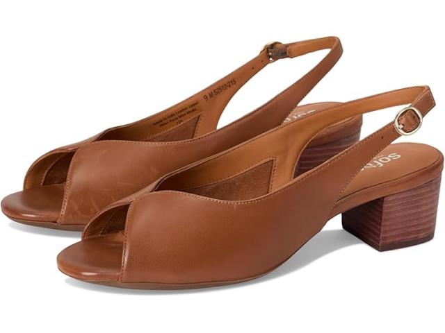 (取寄) ソフトウォーカー レディース レイクウッド SoftWalk women Lakewood Luggage