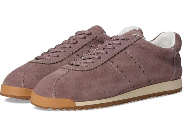 (取寄) スティーブマデン レディース ミラージュ Steve Madden women Mirage Mauve Suede