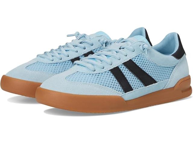 (取寄) スティーブマデン レディース ヴァーディクト Steve Madden women Verdict Light Blue Multi