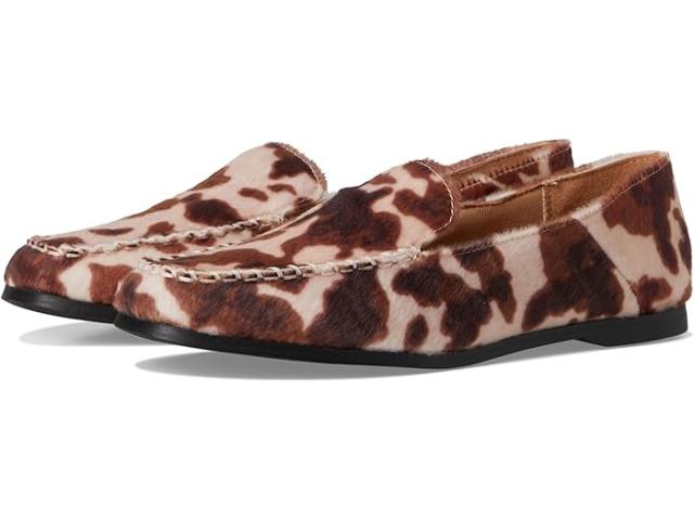 (取寄) レディース マクソン DV by Dolce Vita women Maxon Cow