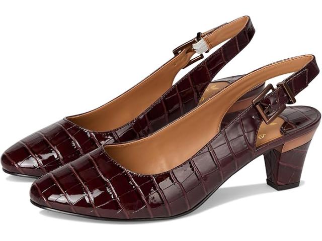 (取寄) ジェイレニー レディース  J. Renee women Malree Brown