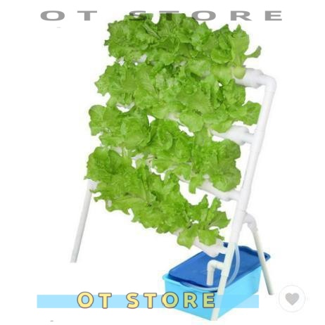 水耕栽培キット すいこう栽培キット 野菜 栽培キット 室内 いちご 家庭菜園 水耕栽培セット プランター 36穴