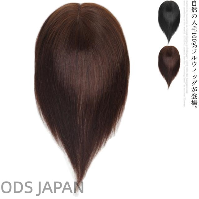 ウィッグ フルウィッグ 人毛 医療用ウィッグ ストレートウィッグ 自然  医療用 かつら 女性用 かつら 黒髪 ブラウン髪 送料無料 ショート ミディアムヘア セミロングウィッグ 薄毛 脱毛症 白髪隠し