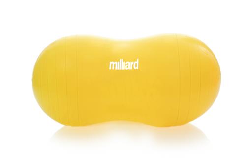 MILLIARD(ミリアード) ピーナッツボール エクササイズ セラピー 出産やドッグトレーニング用のフィジオロール
