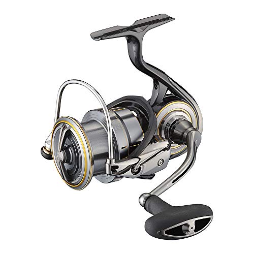ダイワ(DAIWA) 21 ルビアス エアリティ LT4000-CXH