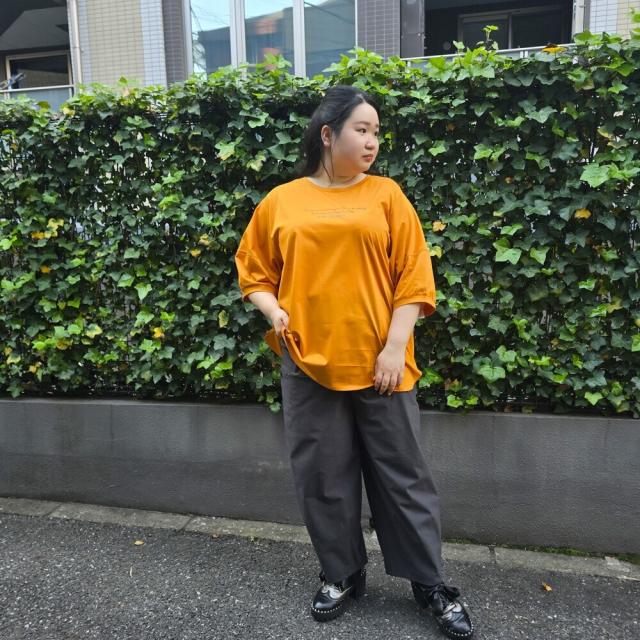 アル・ディ・ラ（AL DI LA）/COOLMAX 速乾 麻混 クールマックス