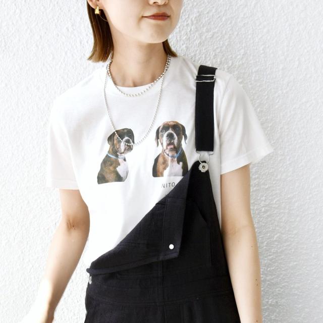 シップス（SHIPS）/【SHIPS別注】ACASAM: フォト TEE