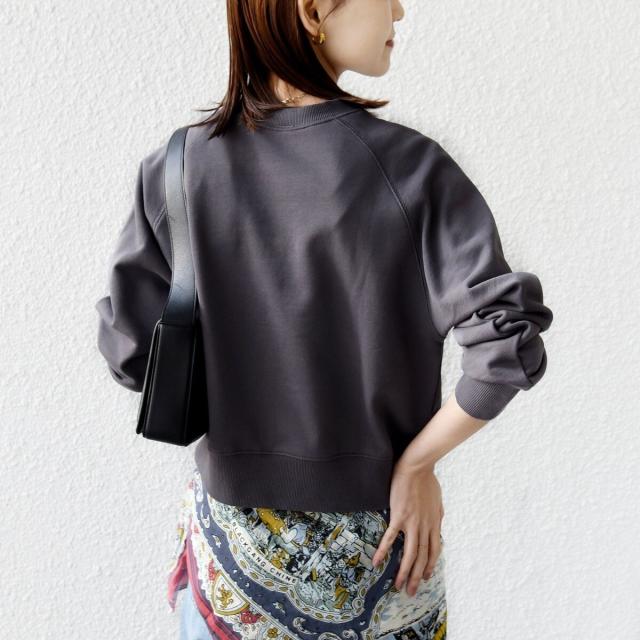 シップス（SHIPS）/《予約》【SHIPS別注】TENNESSEE:〈洗濯機可能〉ロゴ スウェット