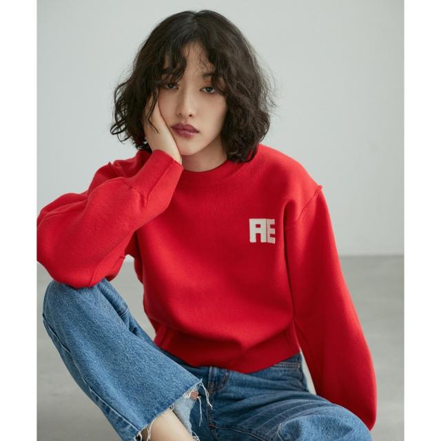 アダムエロペ（ADAM ET ROPE’）/【サステナブル・洗える】フェルト刺しゅうニットプルオーバー