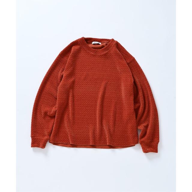 ジャーナルスタンダード（JOURNAL STANDARD）/シェニール ジャガード クルーネック ロンT