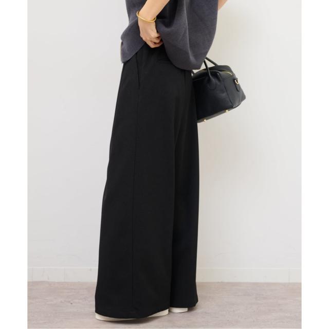 ジャーナルスタンダード レリューム（JOURNAL STANDARD relume）/《追加予約2》ウォッシャブルサージストレッチタックワイドパンツ