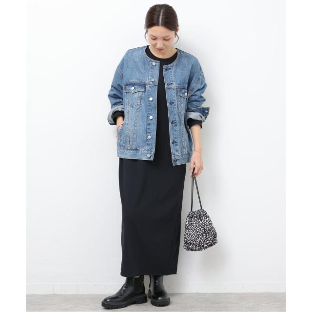 ジャーナルスタンダード レリューム（JOURNAL STANDARD relume）/《予約》NONIRONジョーゼットワンピース