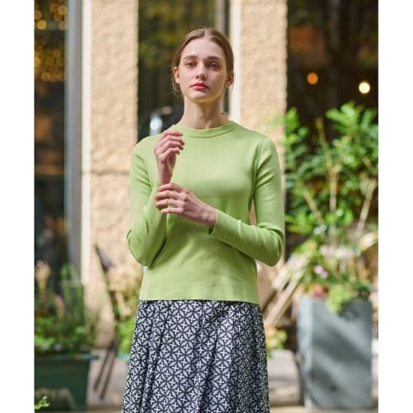 ドレステリア（DRESSTERIOR）/コットンフルニードルプルオーバーニット