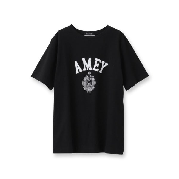 ドレステリア（DRESSTERIOR）/Americana（アメリカーナ）【別注】カレッジTシャツ