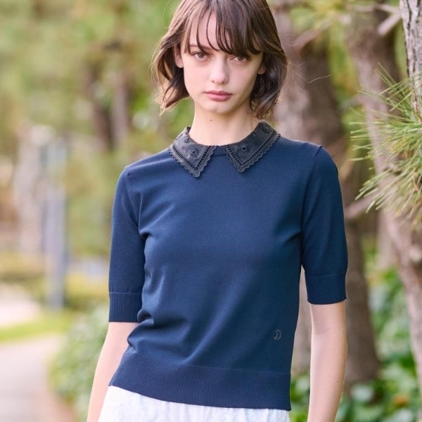 ドレステリア（DRESSTERIOR）/【洗える／2WAY】エンブロイダリーカラーニット