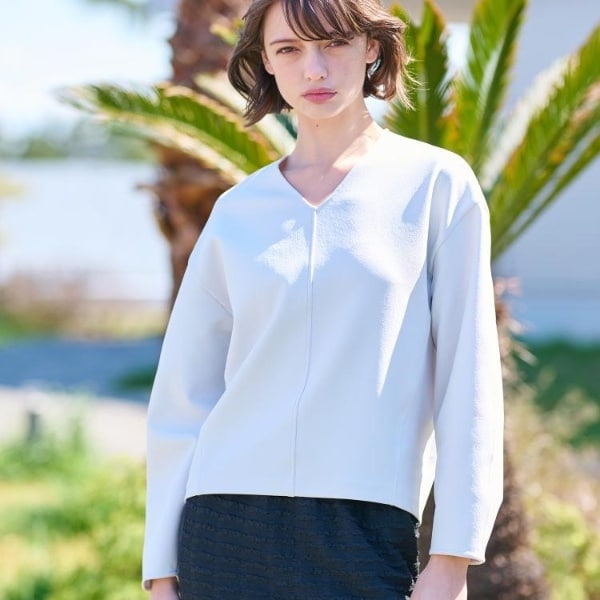 ドレステリア（DRESSTERIOR）/【洗えるイージーケア】Vネックジョーゼットプルオーバー