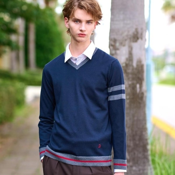 ドレステリア（DRESSTERIOR）/ウォッシャブルファインメリノ Vネックニット