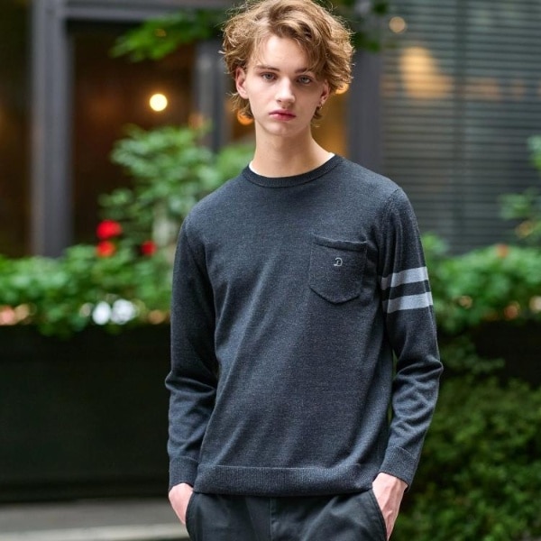 ドレステリア（DRESSTERIOR）/ウォッシャブルファインメリノ クルーネックニット