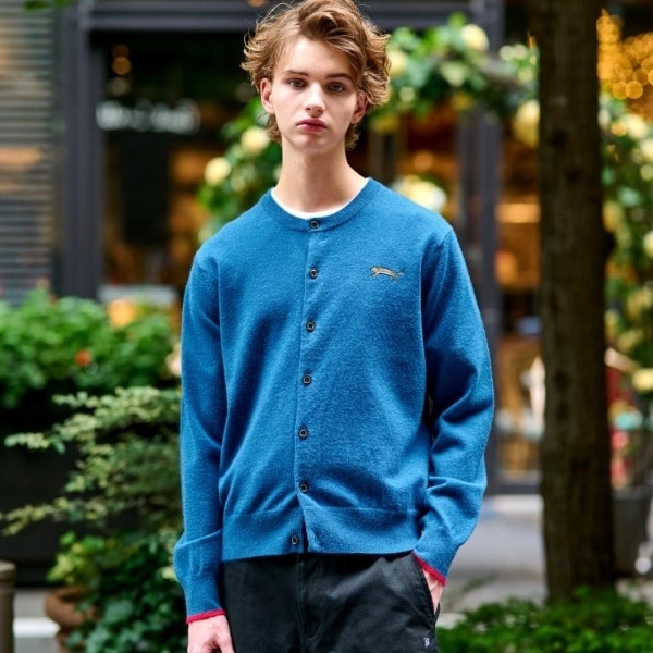 ドレステリア（DRESSTERIOR）/【Monomax11月号掲載】タイガーエンブロイダリー ラウンドネックカーディガン