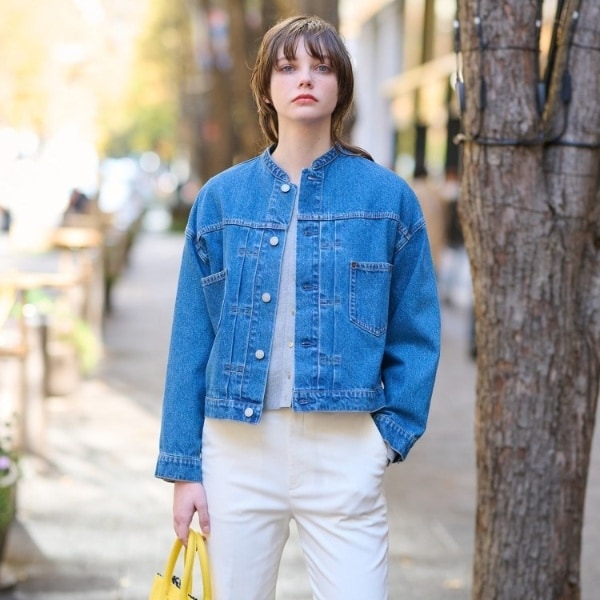 ドレステリア（DRESSTERIOR）/ヴィンテージバンドカラーGジャン