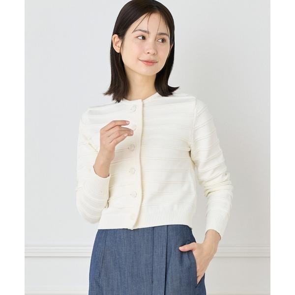 イネド（INED）/《大きいサイズ》ボーダー柄カーディガン