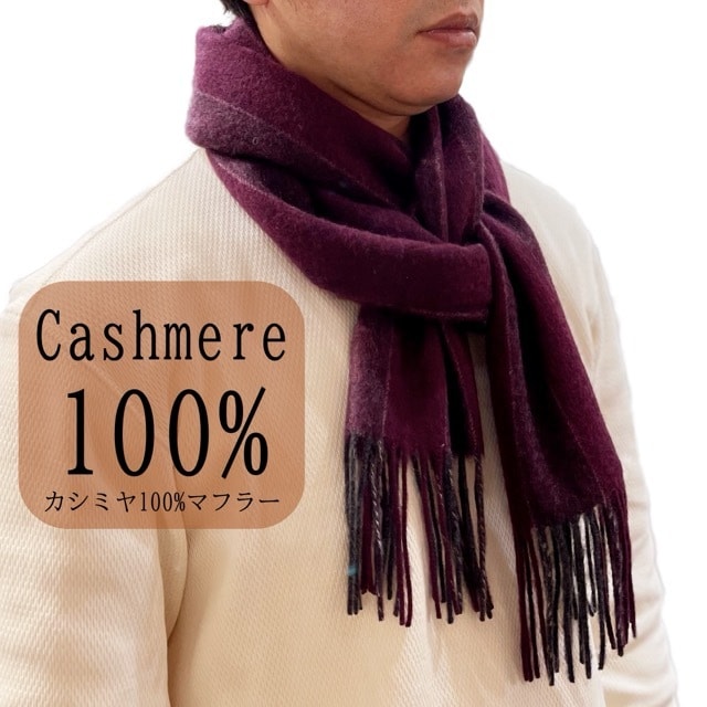 WH1953（WH1953）/カシミヤ100%マフラー