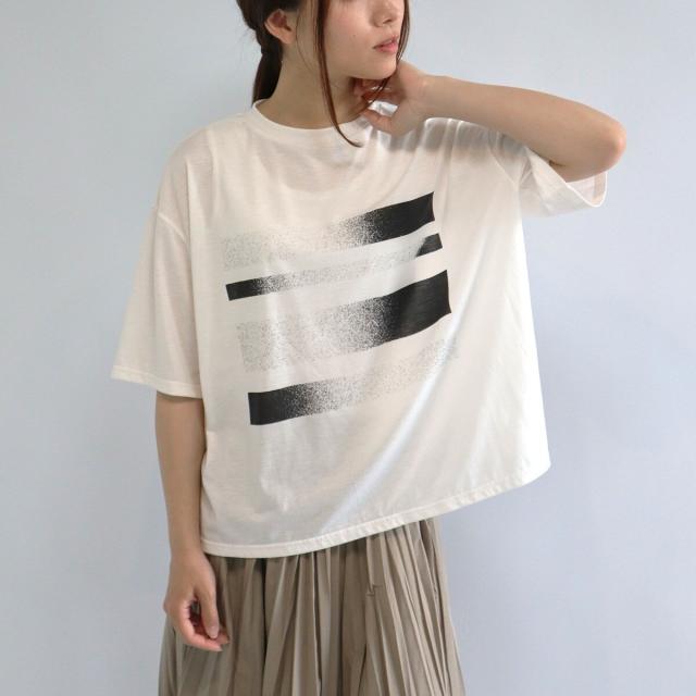 エトレリー（etre relie）/【etre relie】かすれボーダープリントTシャツ