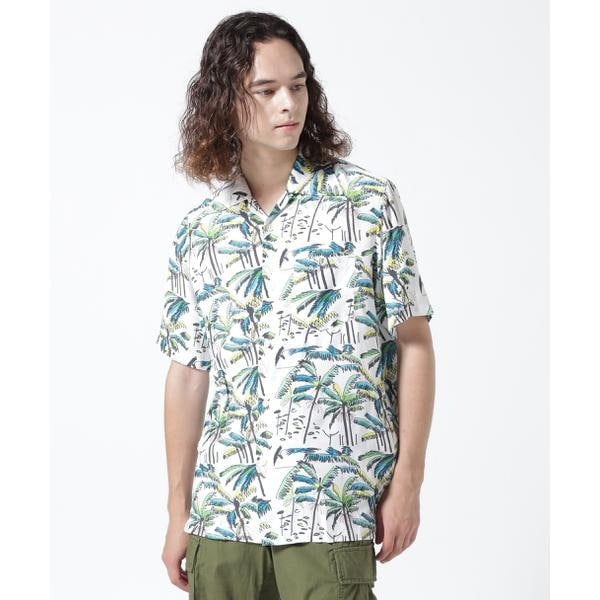 ロイヤルフラッシュ（ FLASH）/Aloha Blossom／アロハ ブロッサム／“PALM TREE”