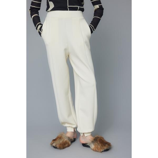 ヘリンドットサイ（HeRIN．CYE）/Feels center switching pants