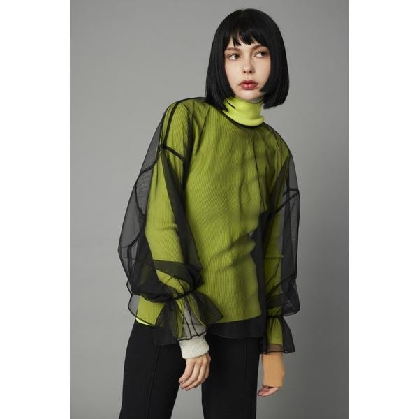 ヘリンドットサイ（HeRIN．CYE）/Tulle blouse