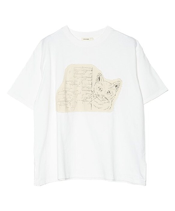 アノネネ（a．no．ne．ne．）/ひょっこりネコＴ