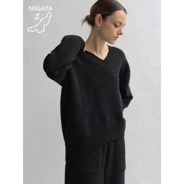 アーガ（Aga）/【新潟】パイル地リバーシブルニットVネックPO