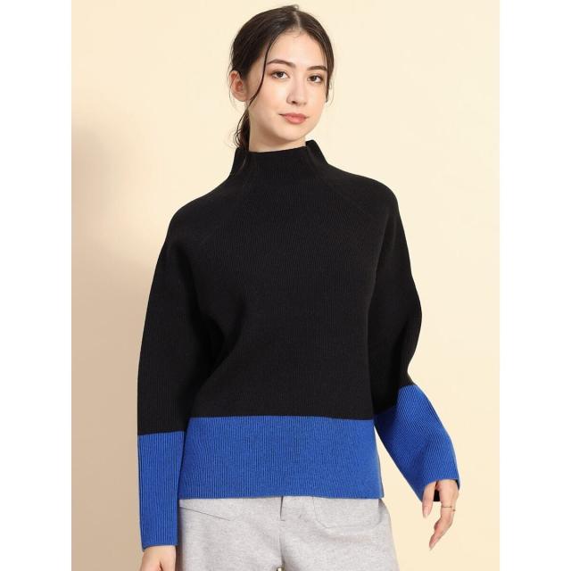 フェンネル（FENNEL）/ボトルネックバイカラーラグランニット