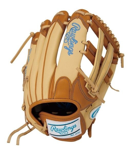 ローリングス（rawlings）/ソフトボールグラブ ソフト HOH DP COLORS(エイチオーエイチディーピーカラーズ) S65