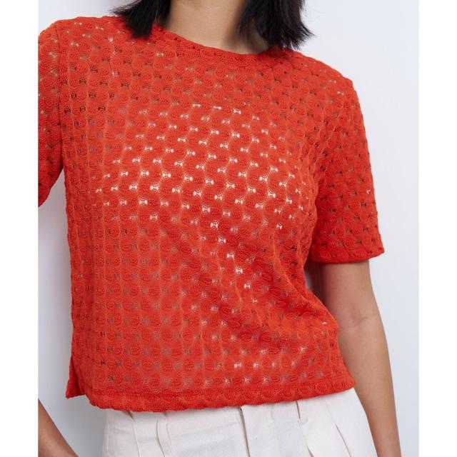 ランバン オン ブルー（LANVIN en Bleu）/【手洗い可】シアーレースカットソー